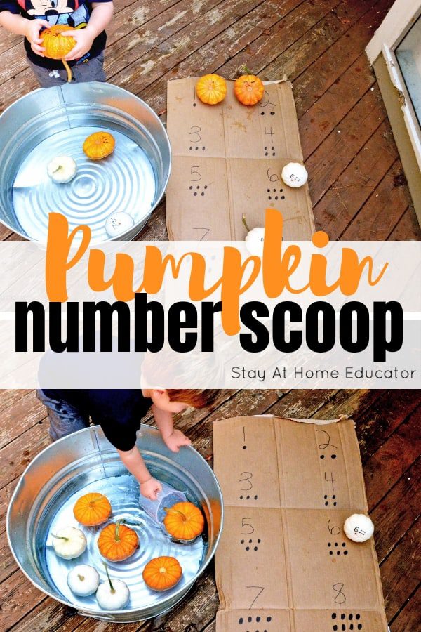 Pumpkin Math Activities For Kids: Art Projects, Counting Practice, And ...